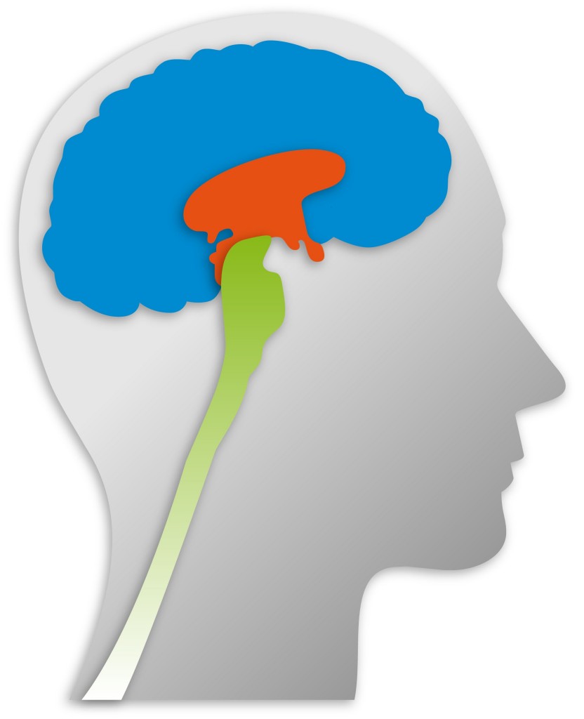 STRUCTOGRAM® ACADEMY